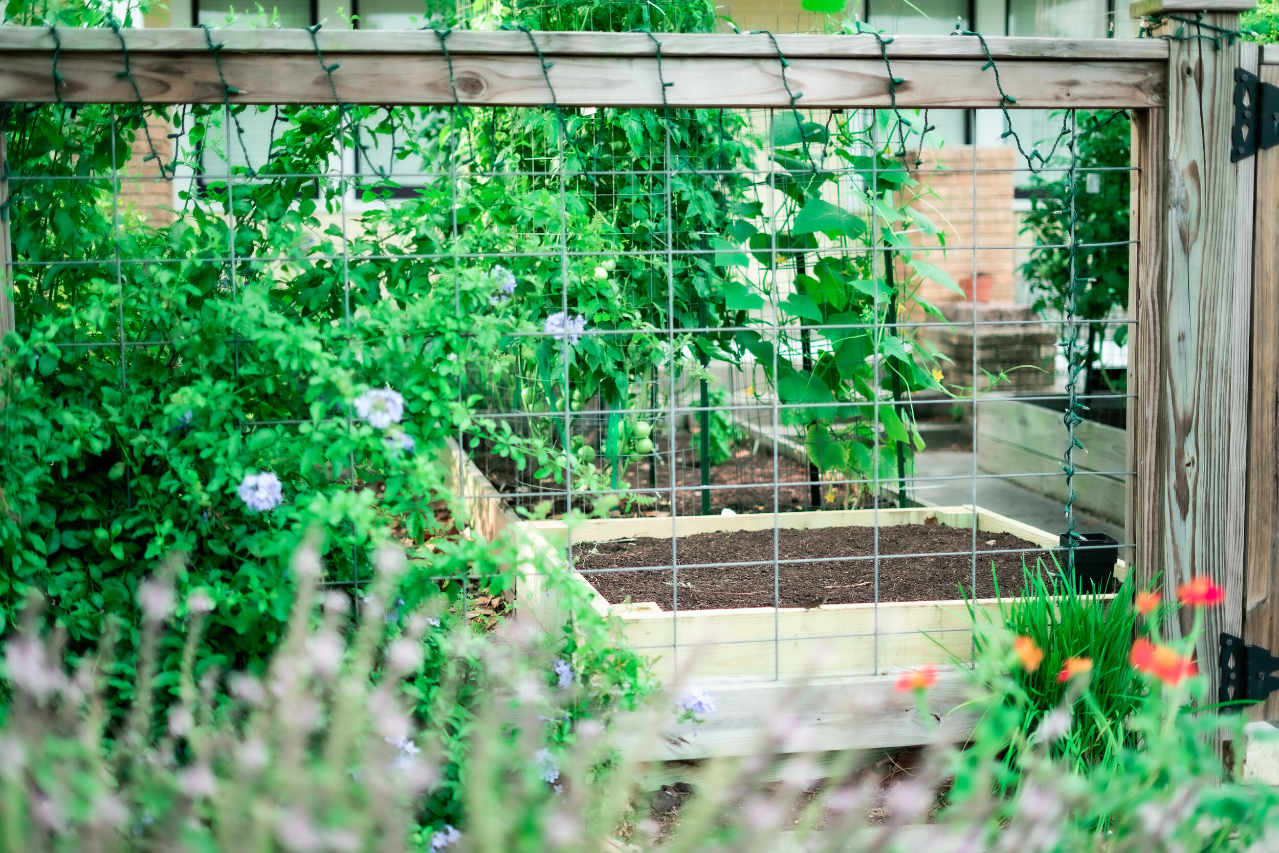 Our Neighborhood — Sunset Heights