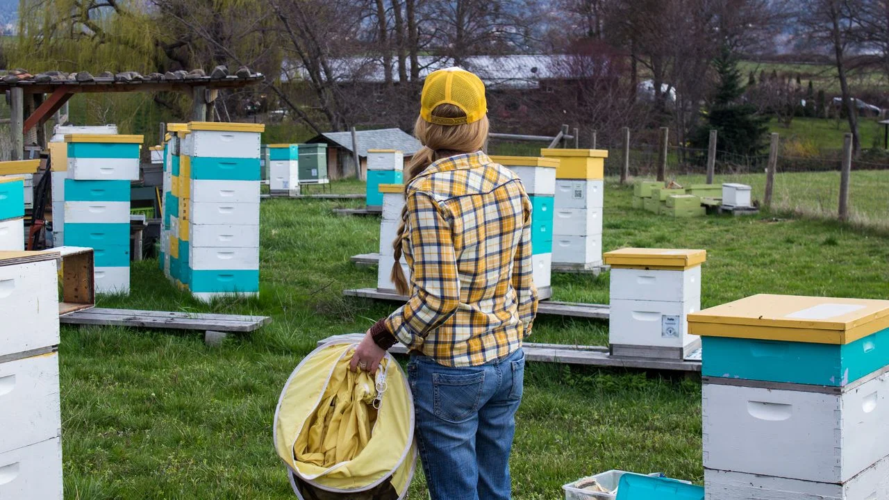 Regenerative Beekeeping — Bee Regenerative