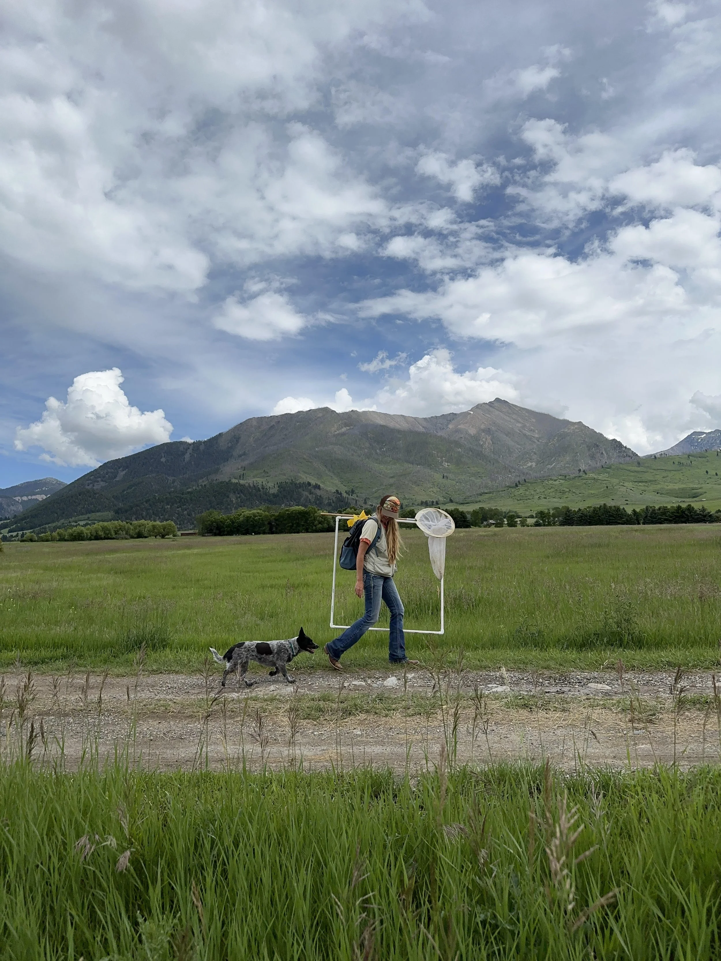 Buzz on the Range — Bee Regenerative