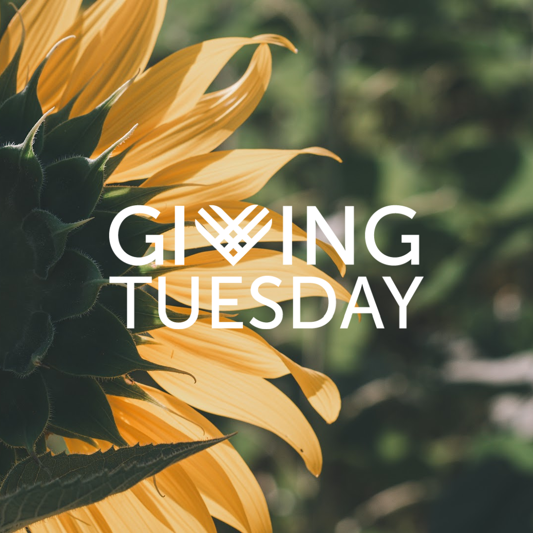 Giving Tuesday, 2023 — Bee Regenerative