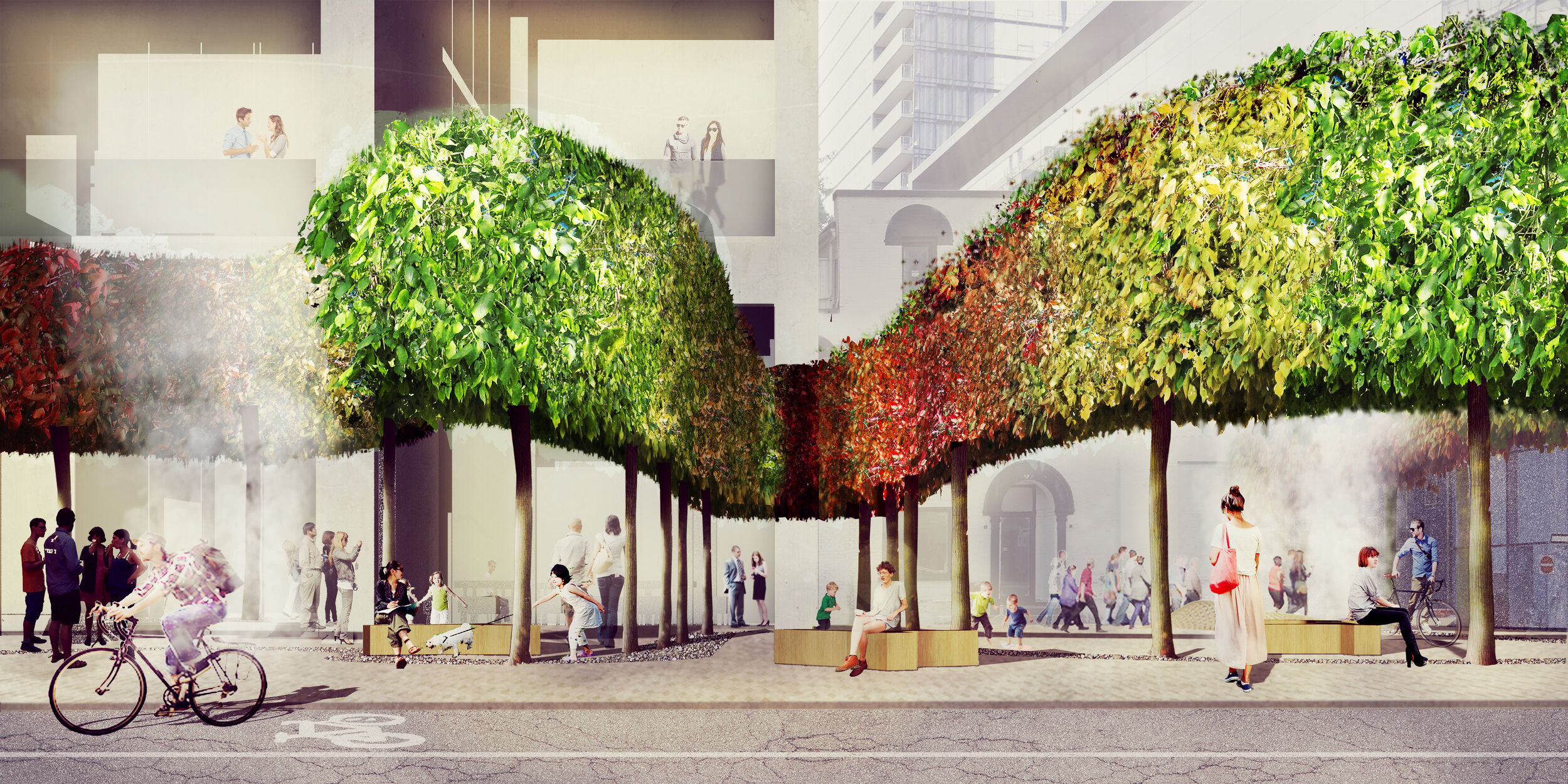 Designers use pleached trees to punctuate a compact public plaza in ...