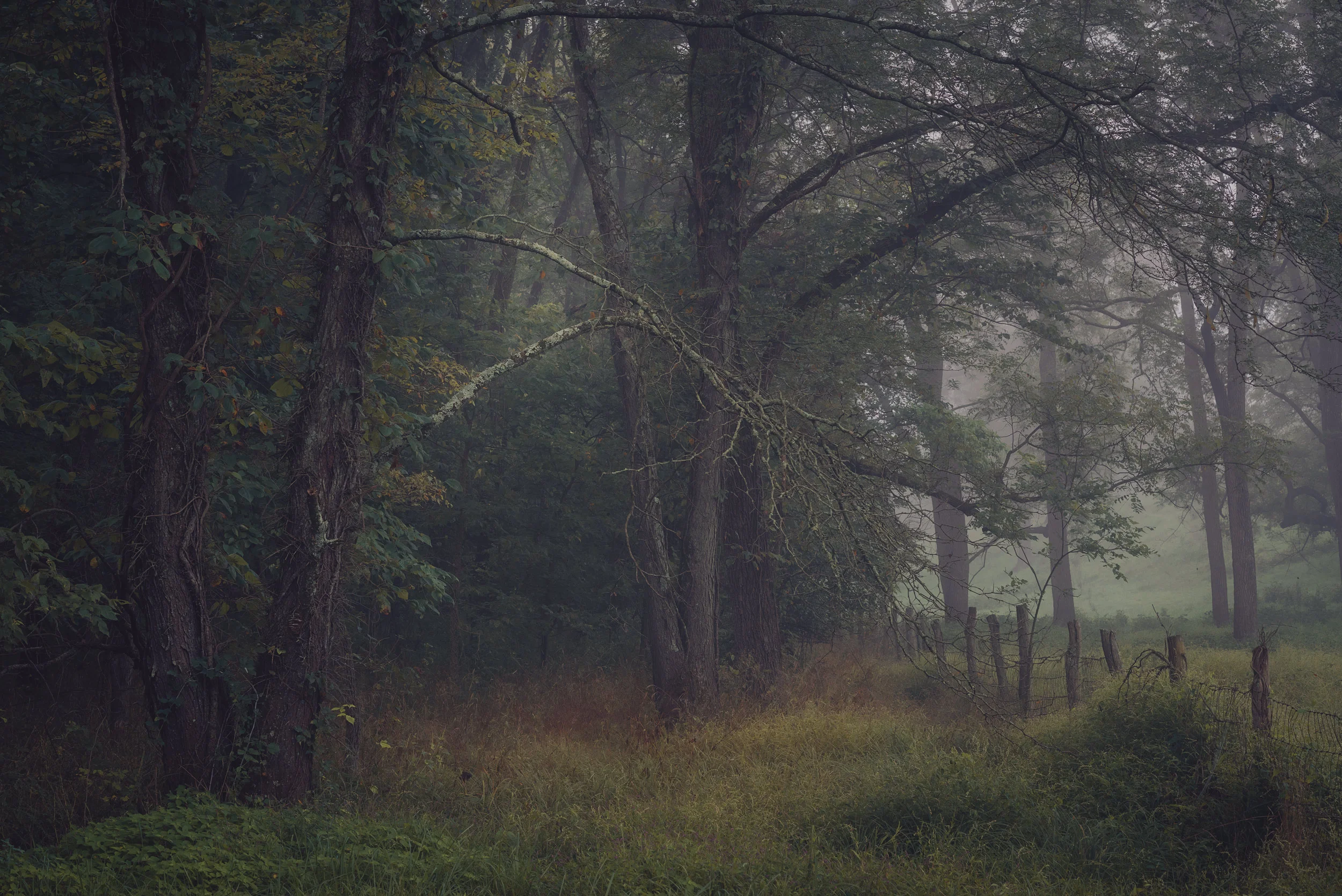 Midwest Landscape Photography | Pixstarr