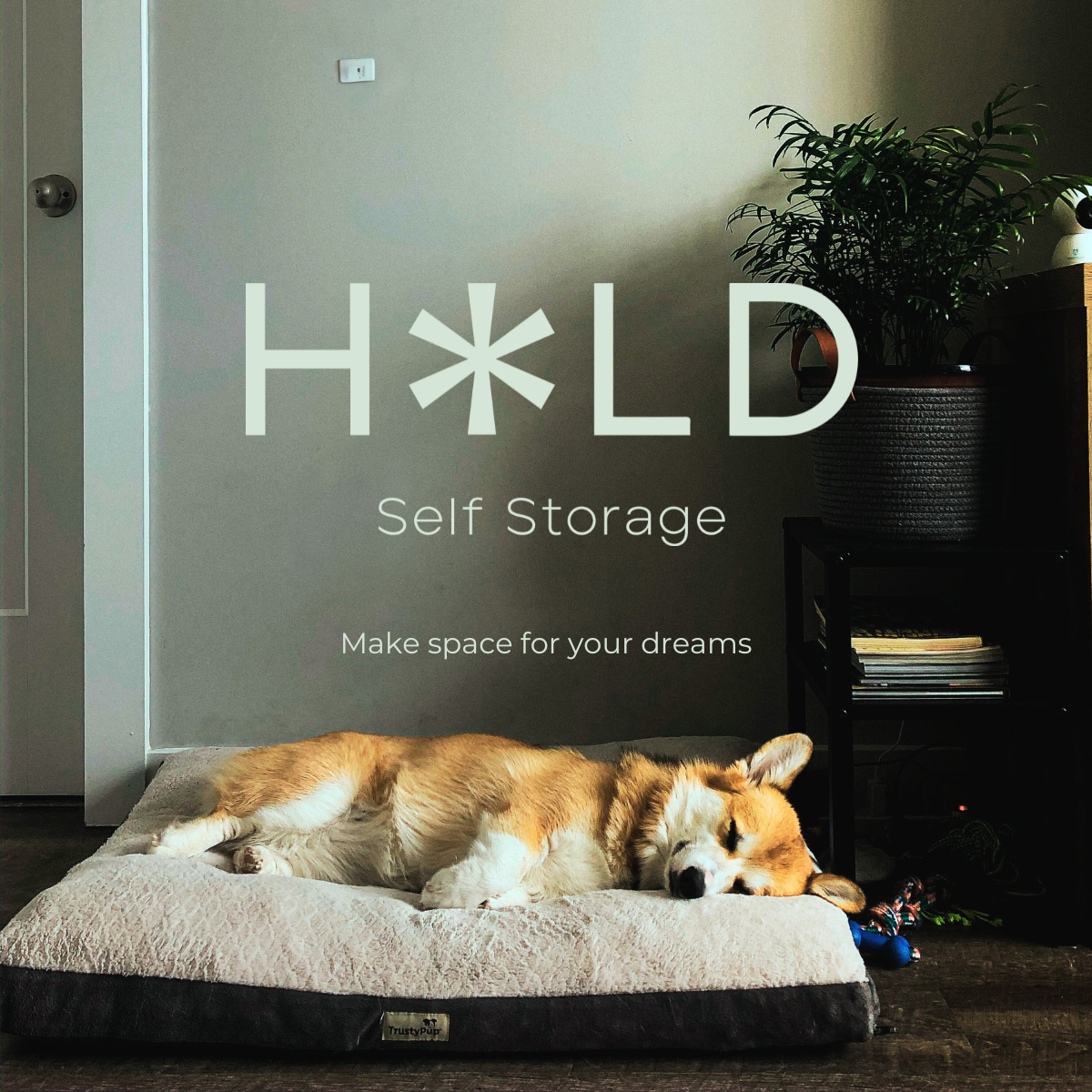 HOLD Storage Unveils Kings Cross Site, Marking a Landmark Entry into ...
