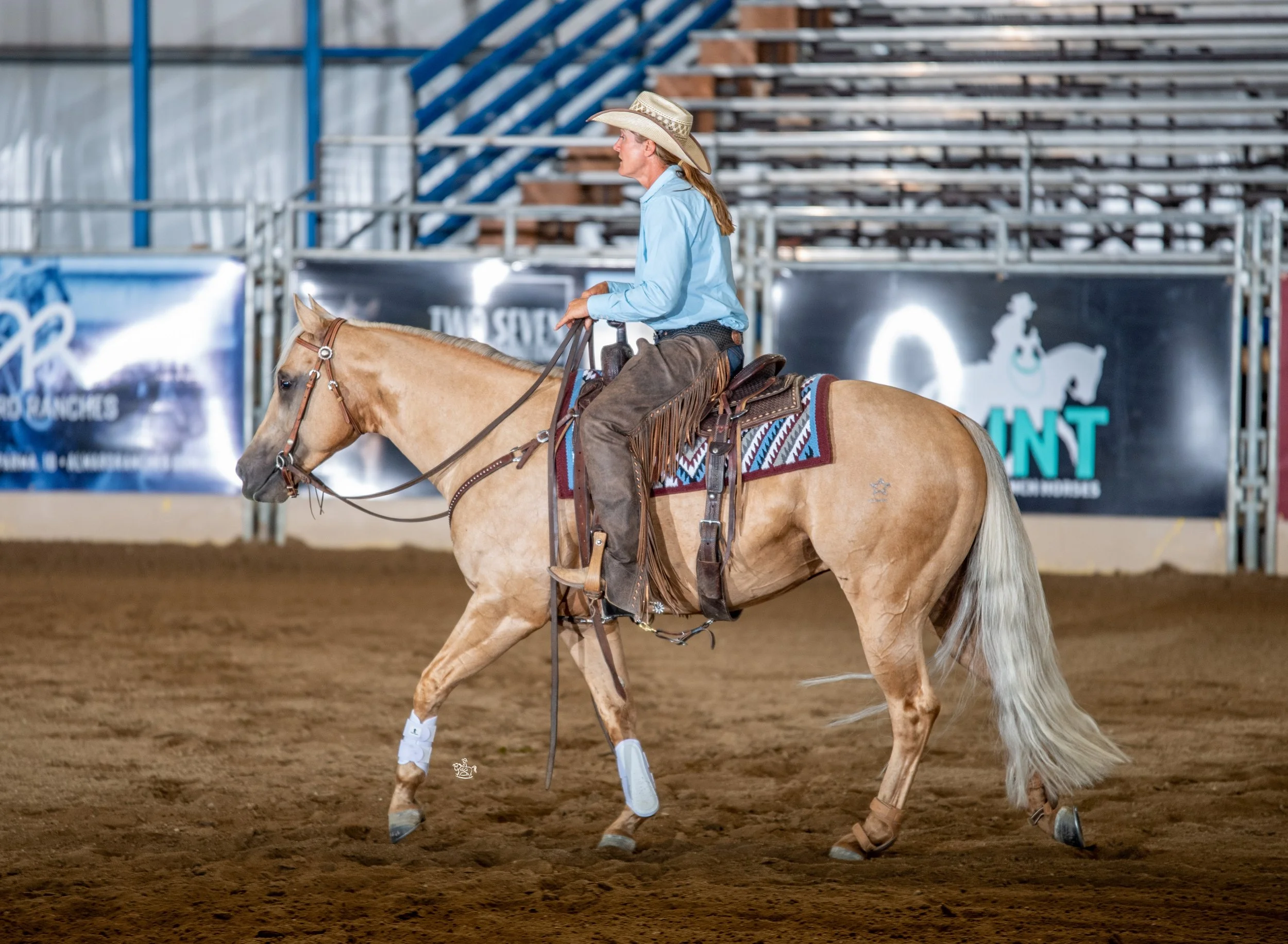 Stallions — Raffety Cattle Company Quarter Horses