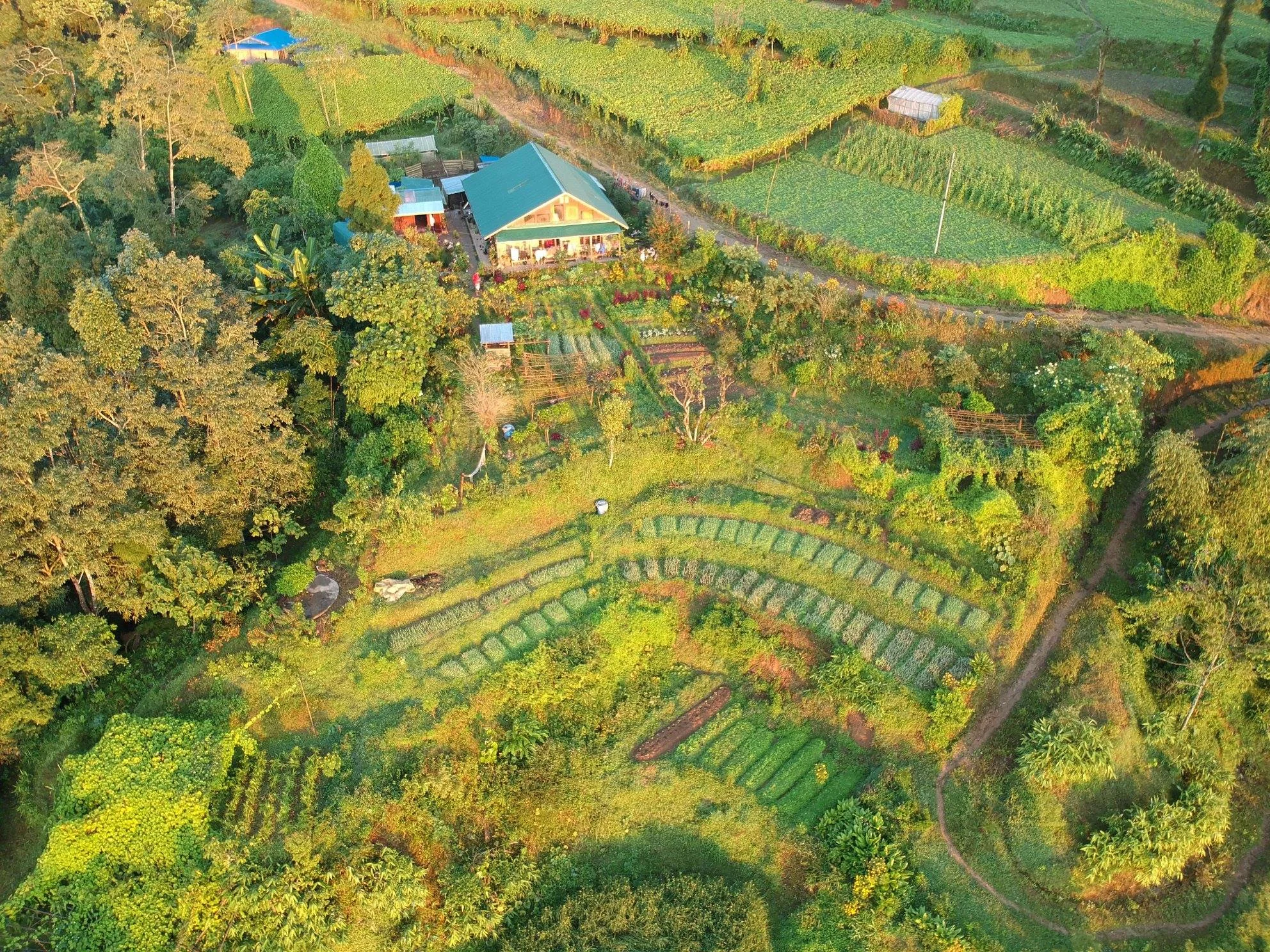 Almost heaven farms Ilam — Vuurvlieg