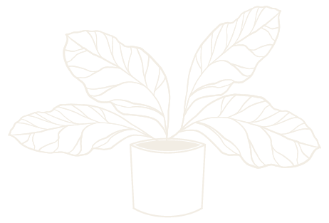 Contact — Jules Acree