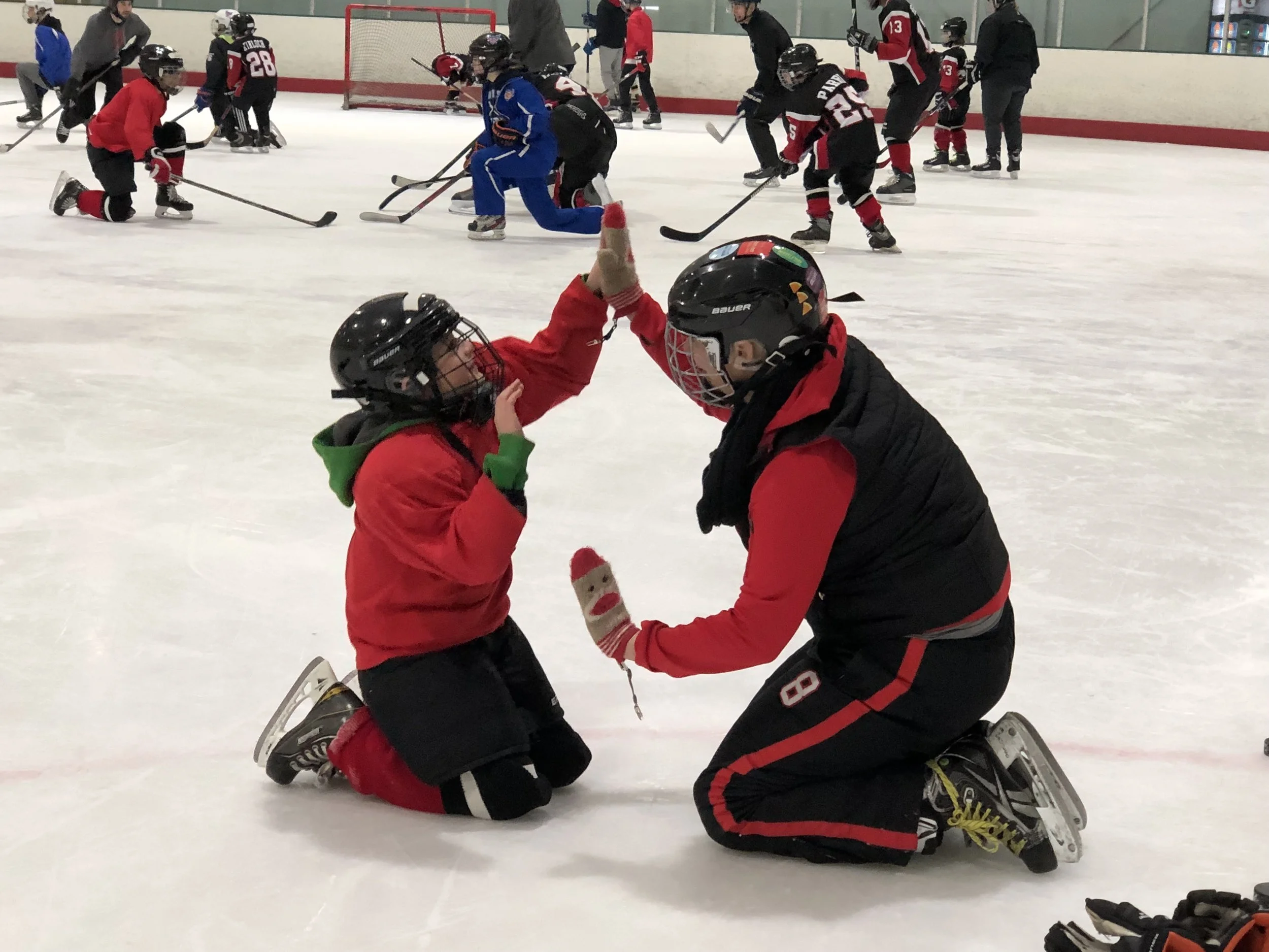 What the Ice Dogs Do — Washington Ice Dogs