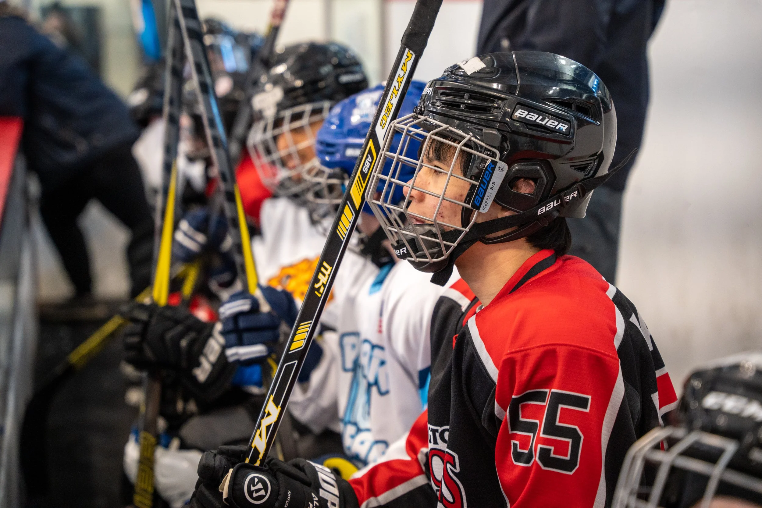 Washington Ice Dogs