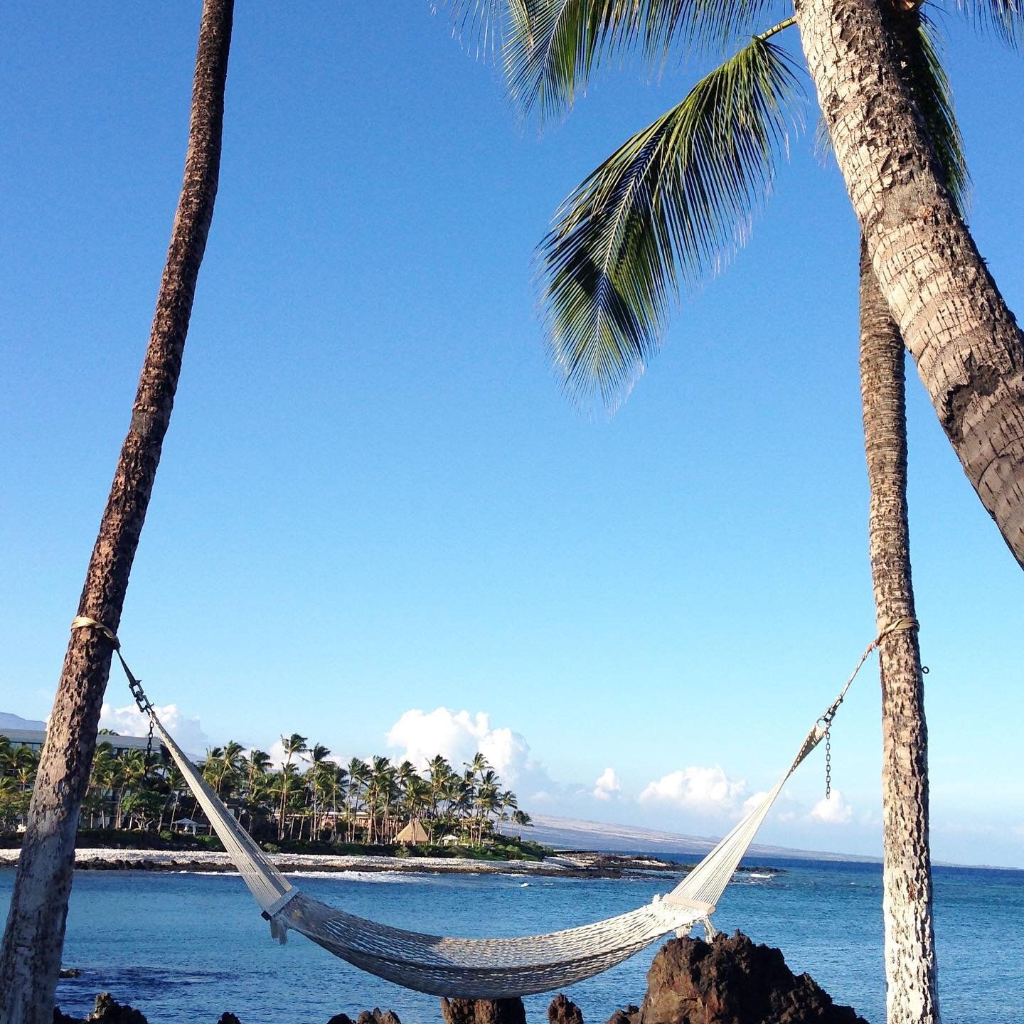 Free Printable Aloha Tracker — She Lives Aloha