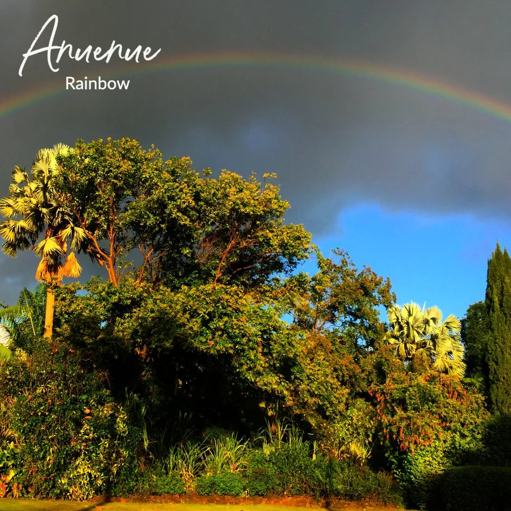 Hawaiian Word of the Week: Anuenue — She Lives Aloha