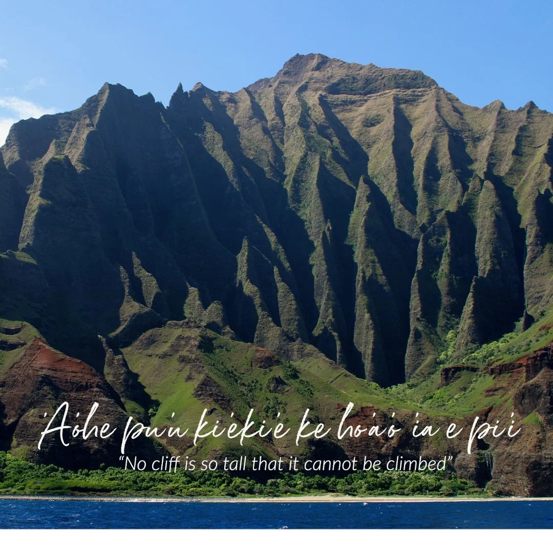 Hawaiian Phrase of the Week: ‘A’ohe pu'u ki'eki'e ke ho'a'o 'ia e pi'i ...