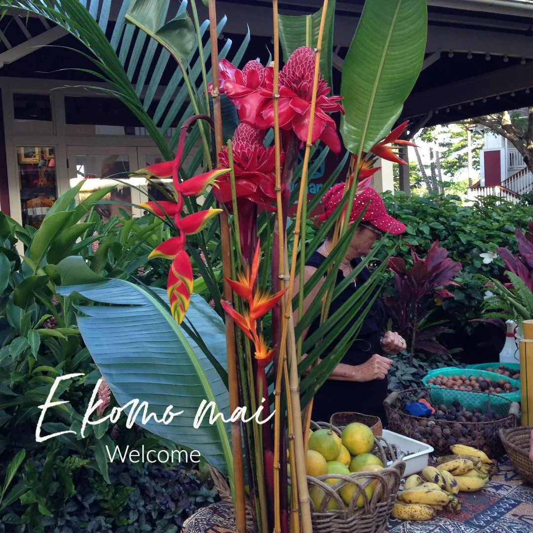 Hawaiian Phrase of the Week: E komo mai — She Lives Aloha