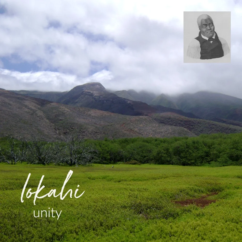 Hawaiian Word of the Week: Lokahi — She Lives Aloha