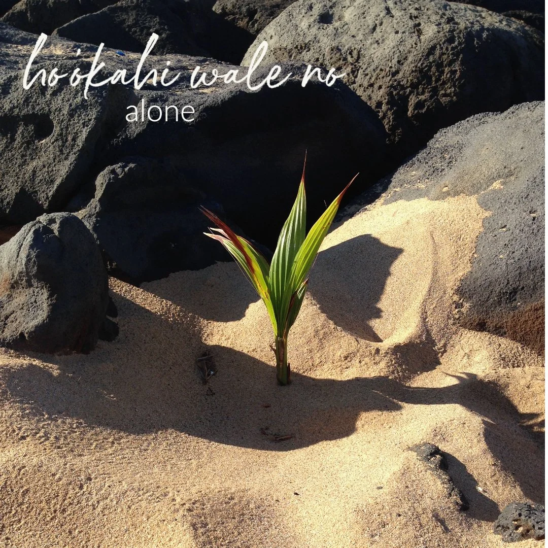 Hawaiian Word of the Week: Ho'okahi wale no — She Lives Aloha