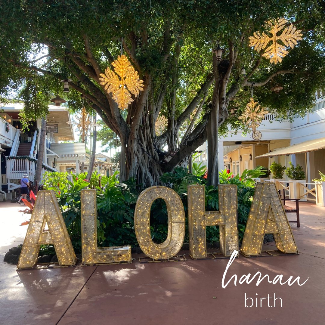 Hawaiian Word of the Week: hānau — She Lives Aloha