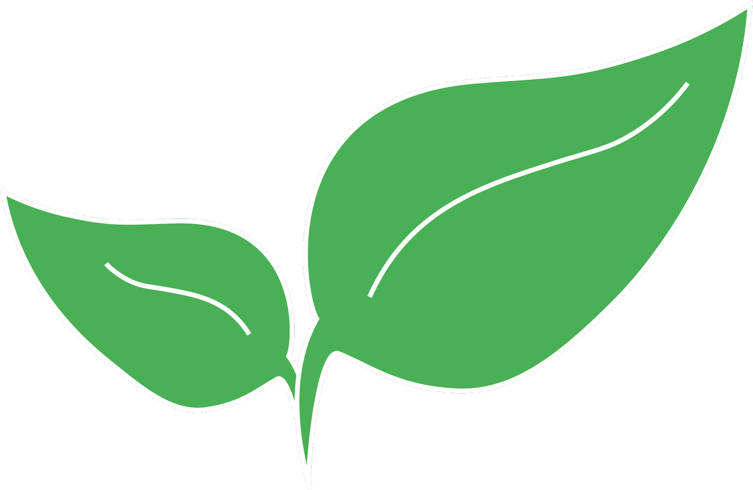 American Chemet Corporation Copper Based Chemicals