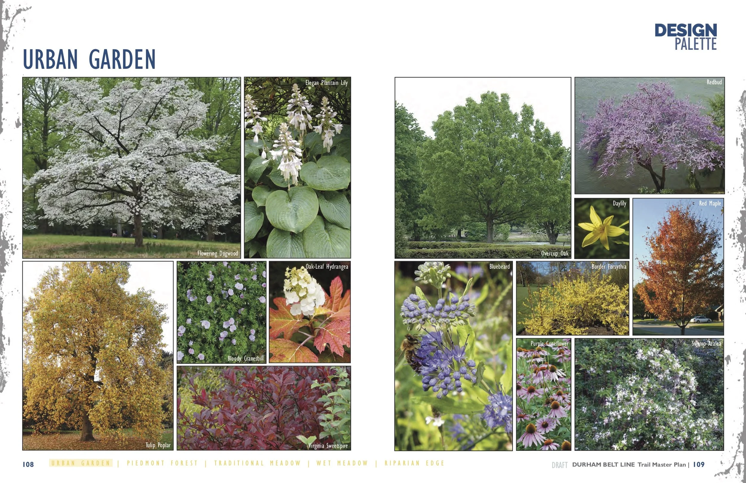 Master Plan Draft — Durham BeltLine for Everybody