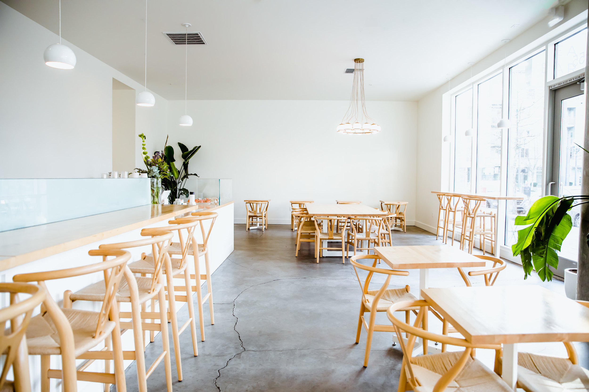 Foodie Snitch Feature: Tea Bar — Foodie Snitch