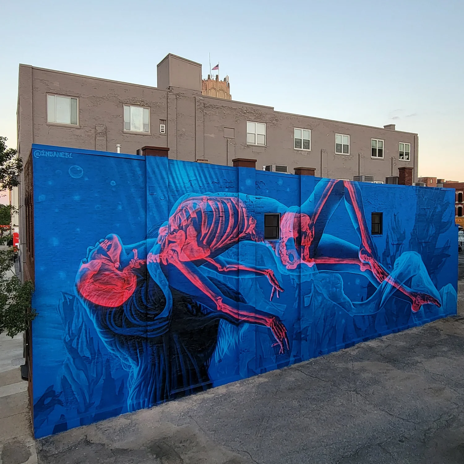 Insane 51 Mural — Bright Walls