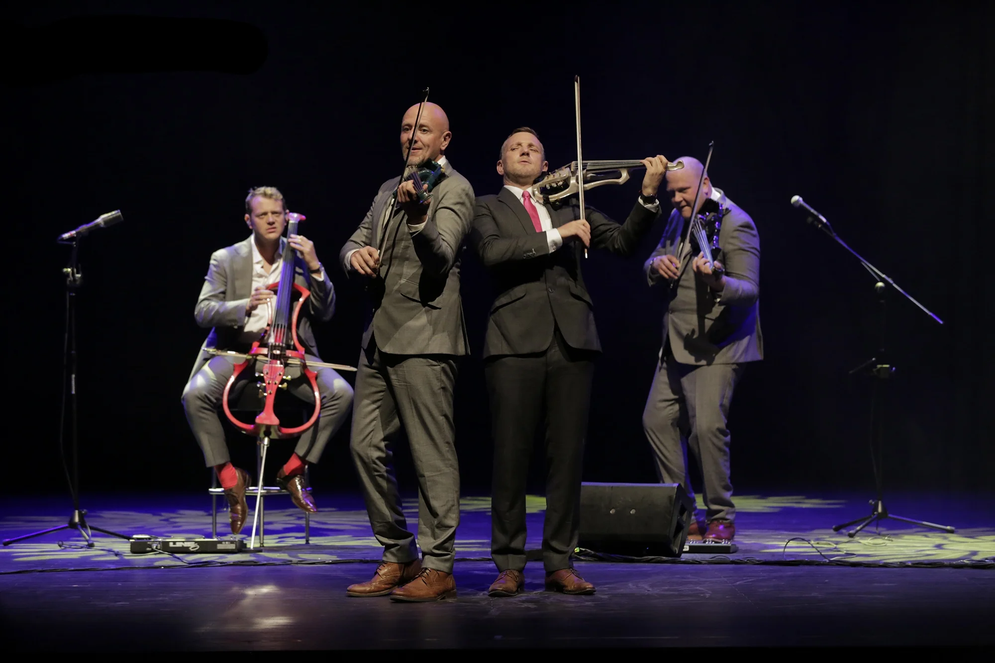 The Show — stringfever