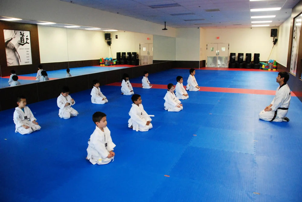 About — WINDSOR TMA