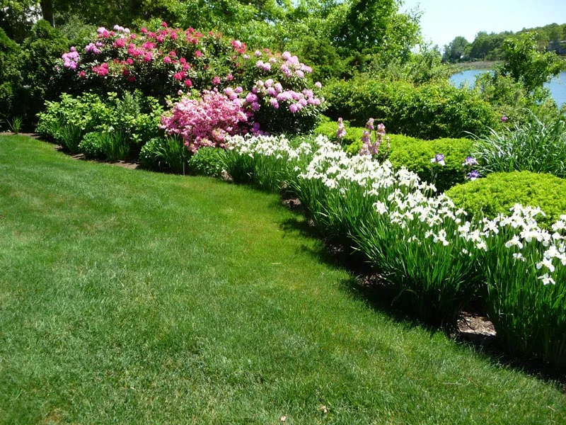 Border Plantings — Dewey Gardens