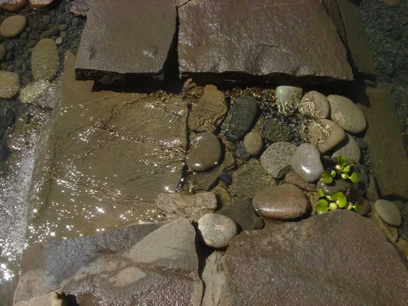 Water Features — Dewey Gardens