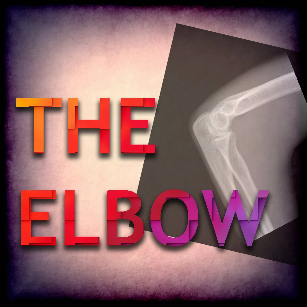 Elbow — Lake Washington Physical Therapy