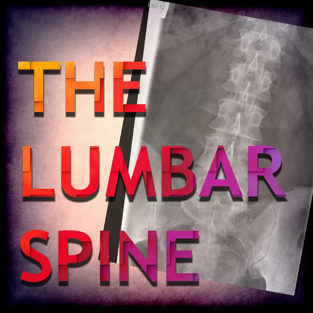 Lumbar — Lake Washington Physical Therapy