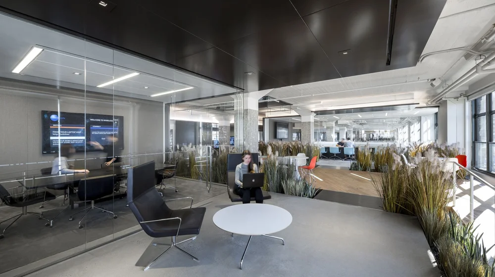 Horizon Expansion II — A+I is Architecture Plus Information
