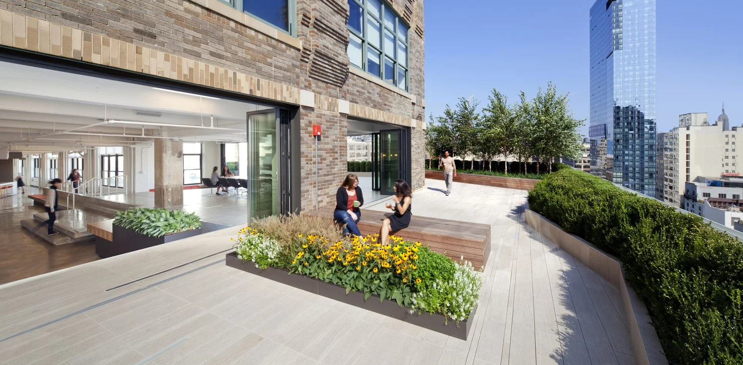Horizon Expansion I — A+I is Architecture Plus Information