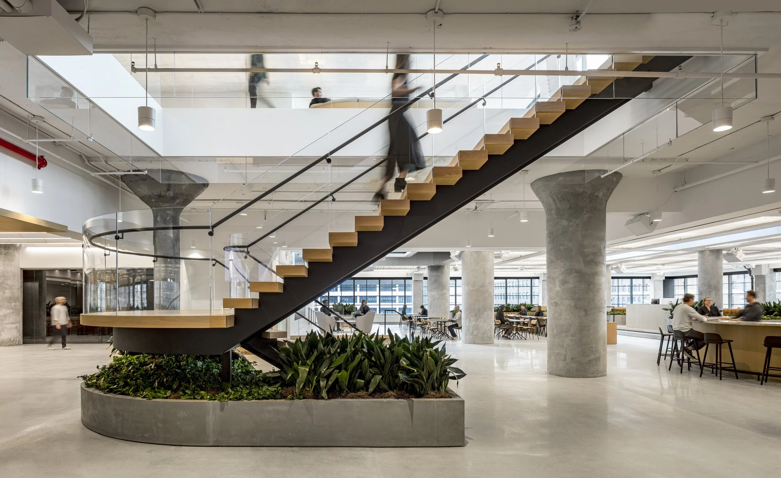 Peloton Headquarters — A+I is Architecture Plus Information