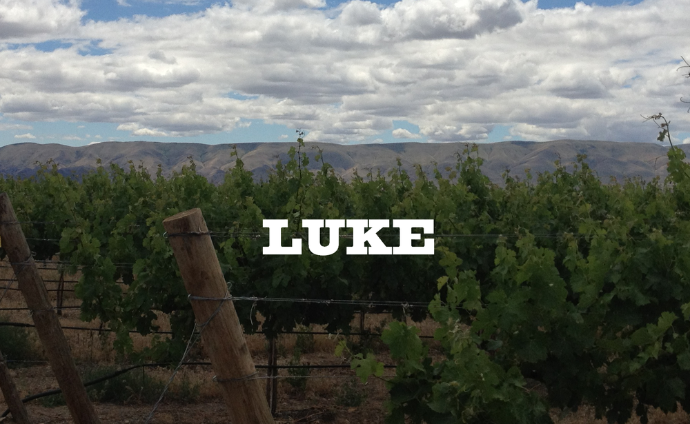 LUKE Wines
