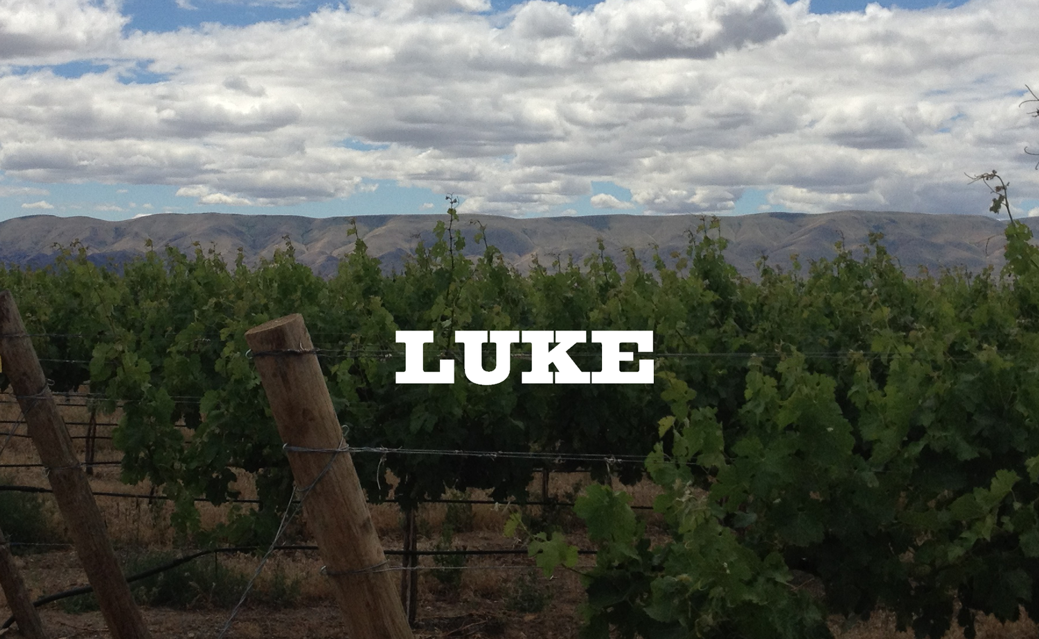 LUKE Wines