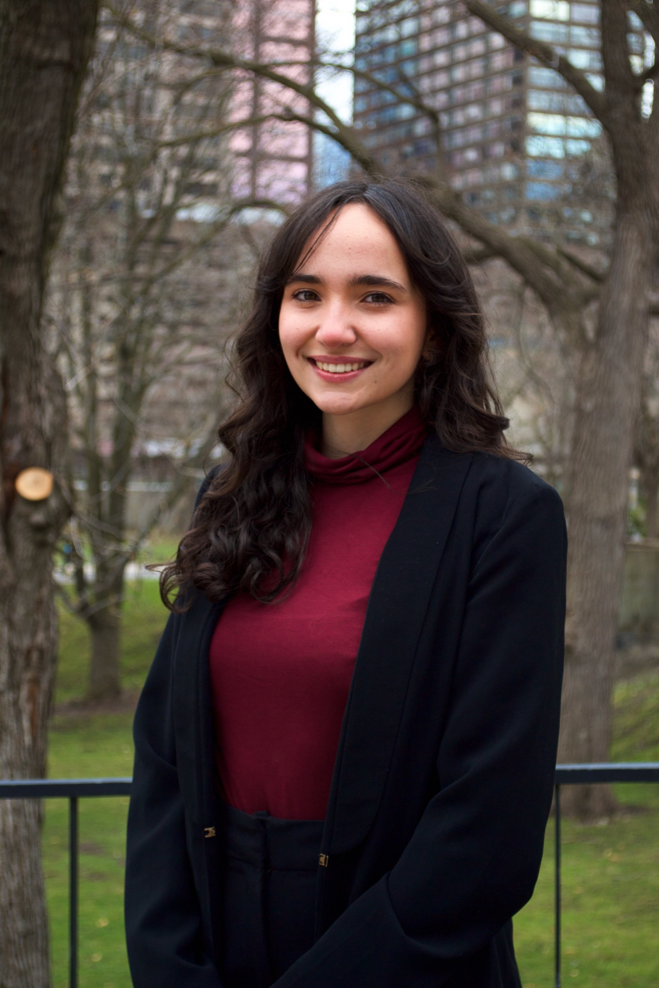 Meet The Secretariat — McMUN 2024