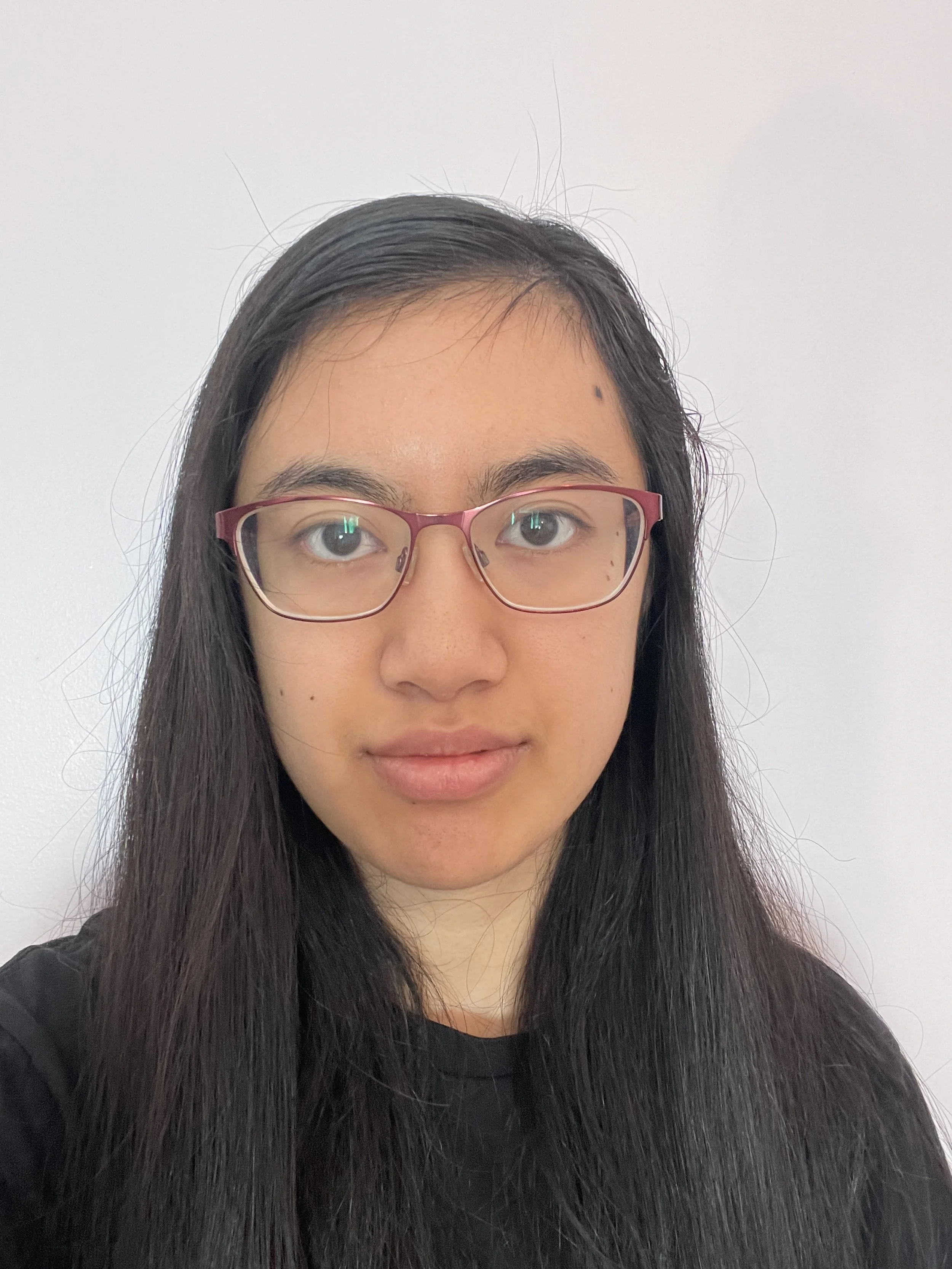 Hwang Woo-suk vs. Korean National Intelligence Service, 2005 — McMUN 2026