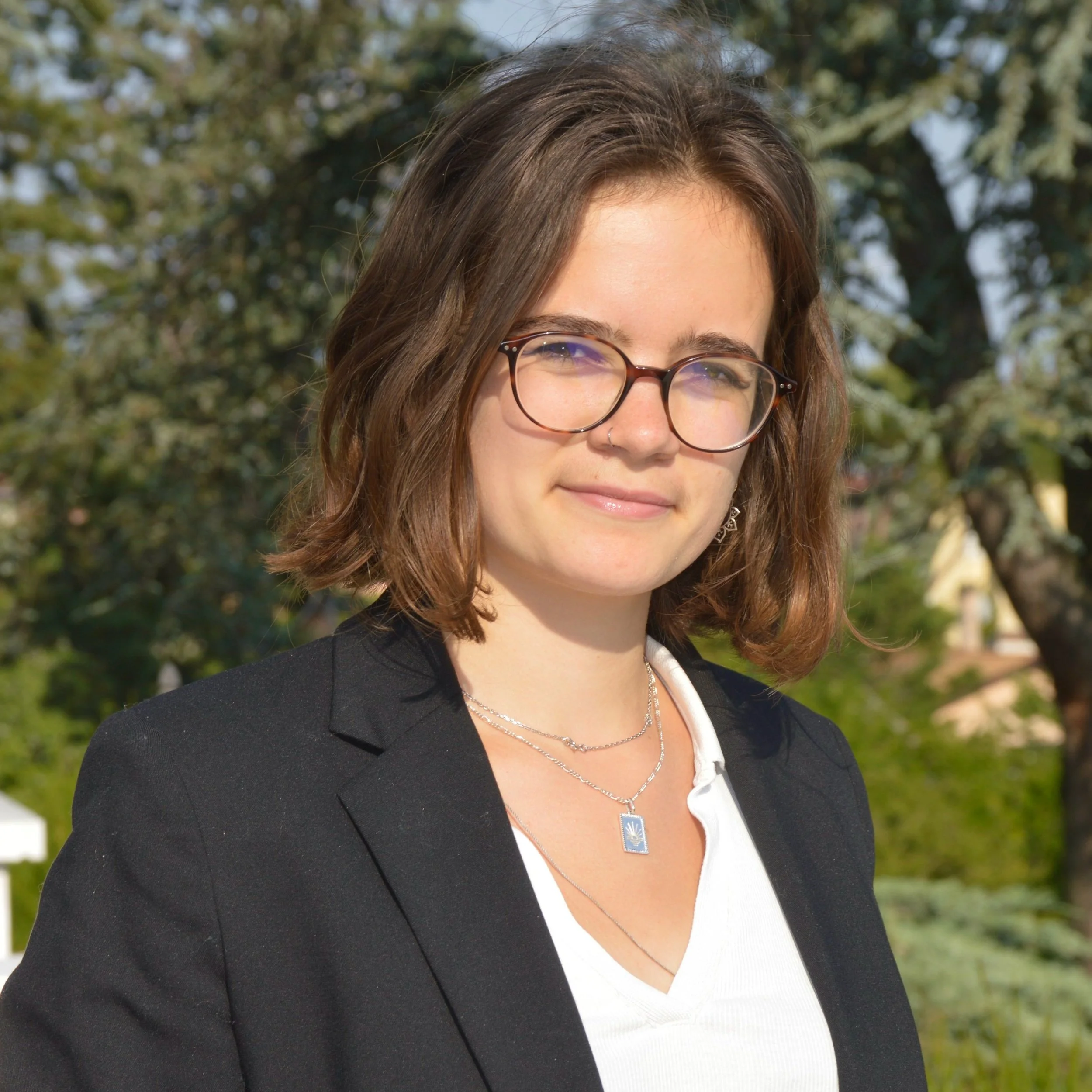 Drawing The Line In The Sand — McMUN 2025