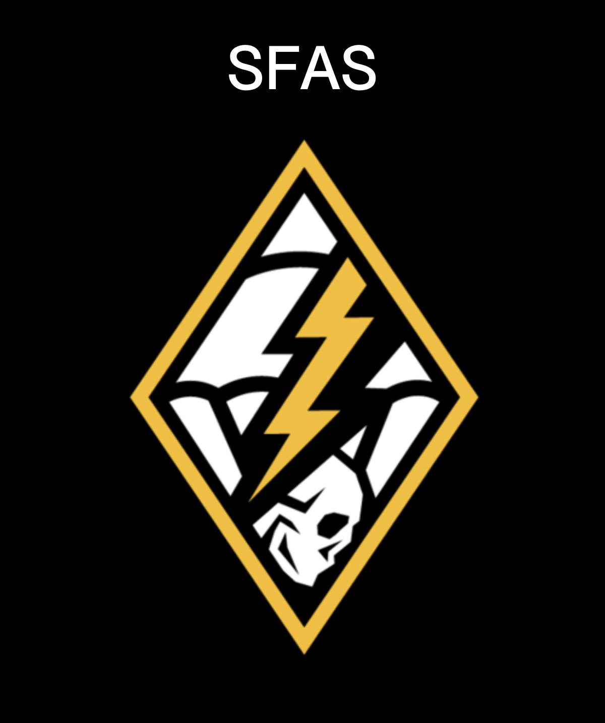 Paid Programs — CronusFit