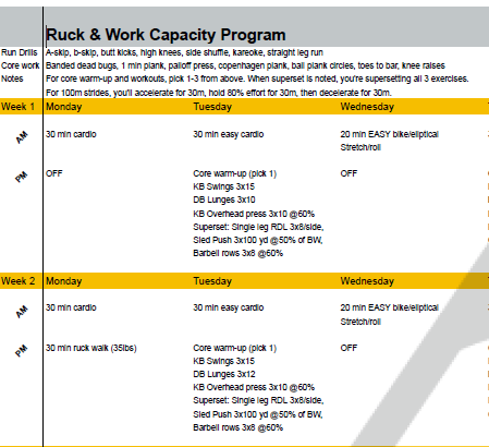 Paid Programs — CronusFit