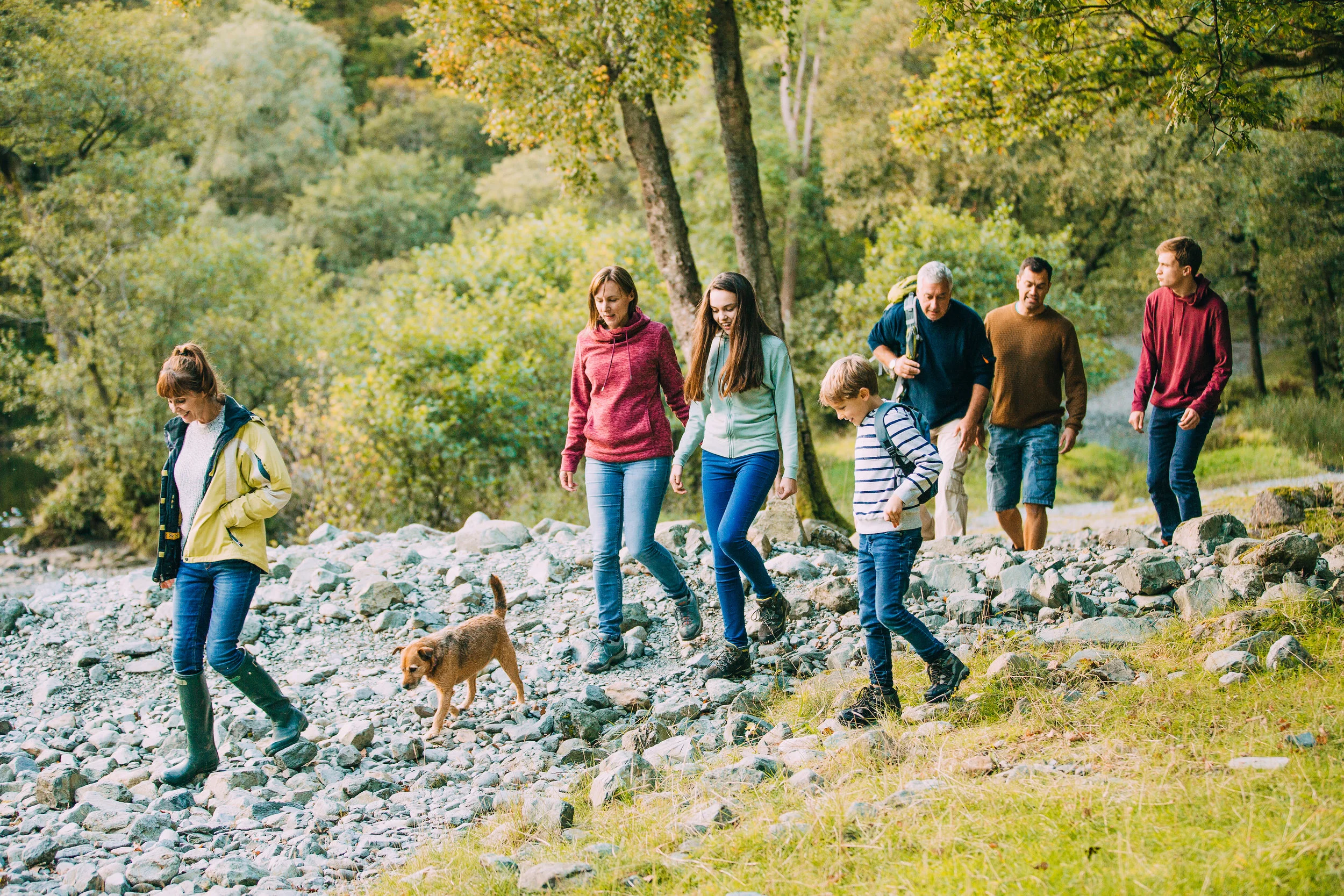 Mount Prospect Financial Planner | Retirement Advisor | Alo Financial