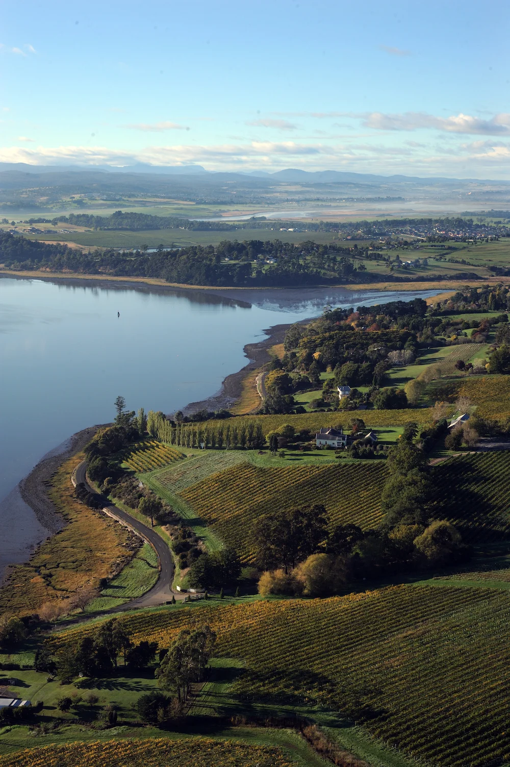 Wine — Tamar Valley Tasmania