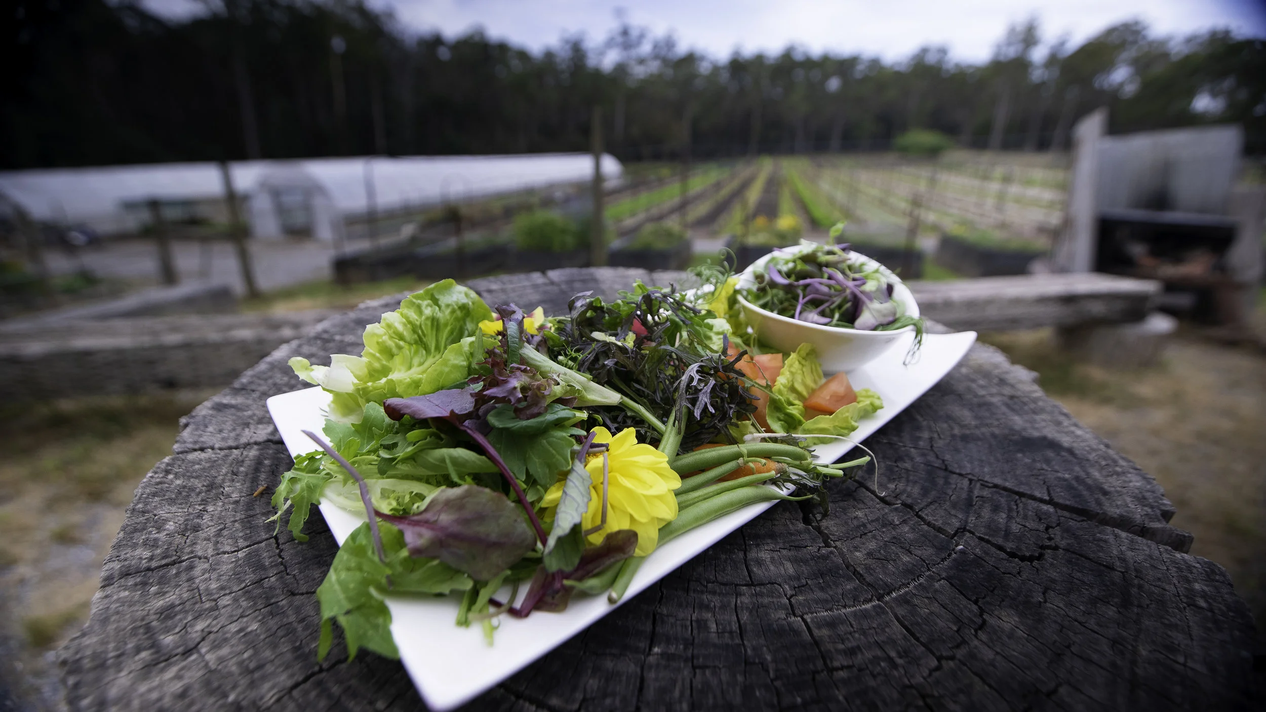 Food — Tamar Valley Tasmania
