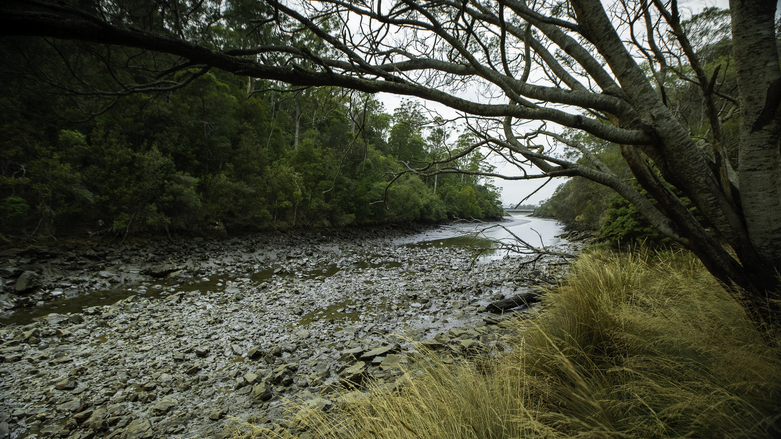 Nature — Tamar Valley Tasmania
