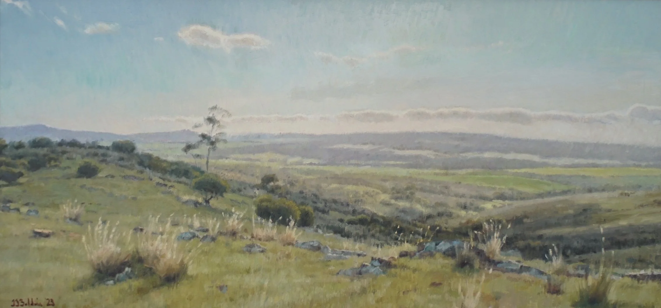 The Trail - Solo Exhibition — Josh Baldwin Art
