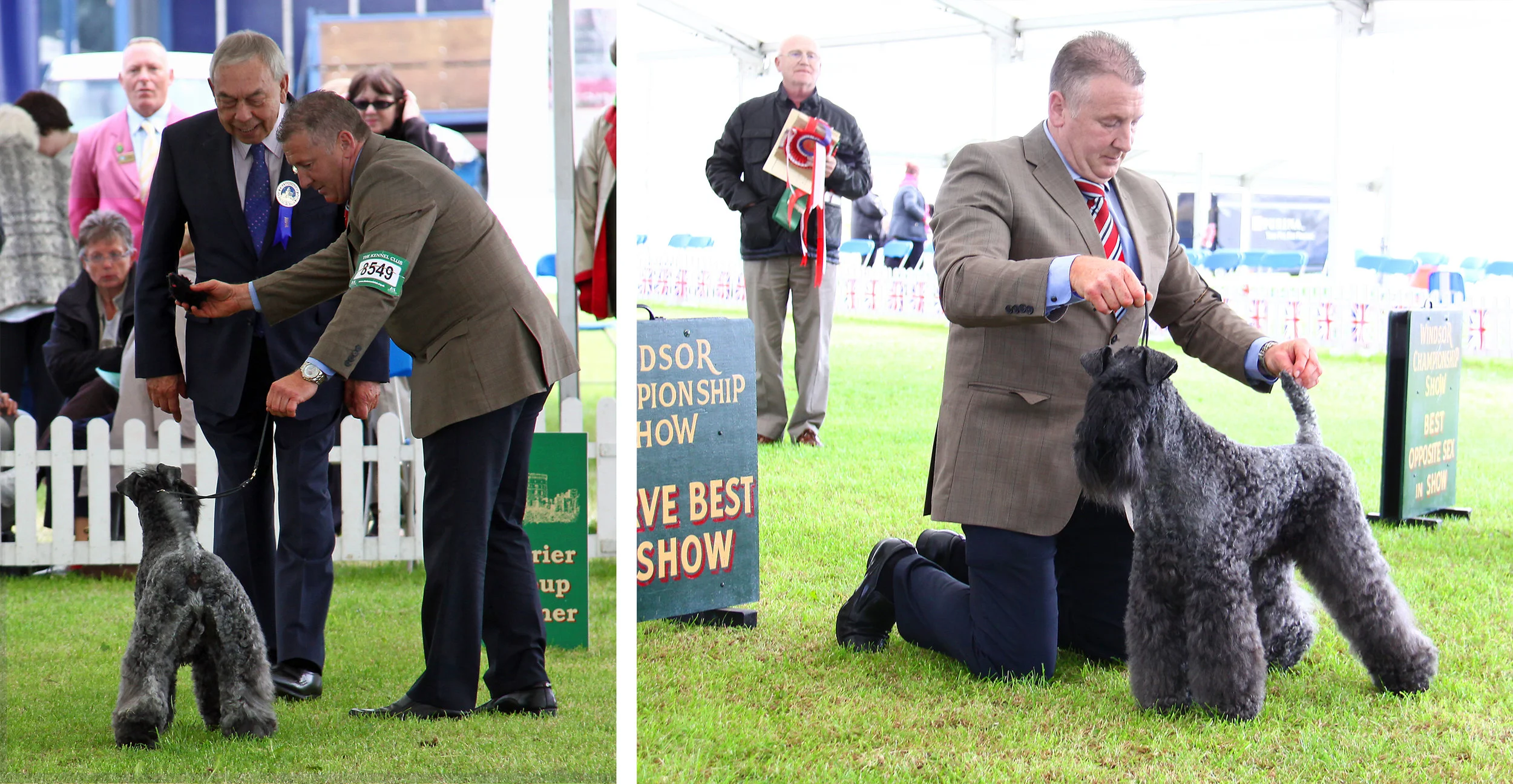 Our Success — Perrisblu