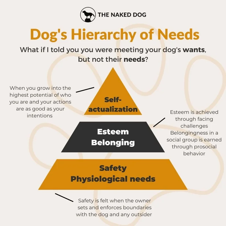A Dog's Hierarchy of Needs — The Naked Dog