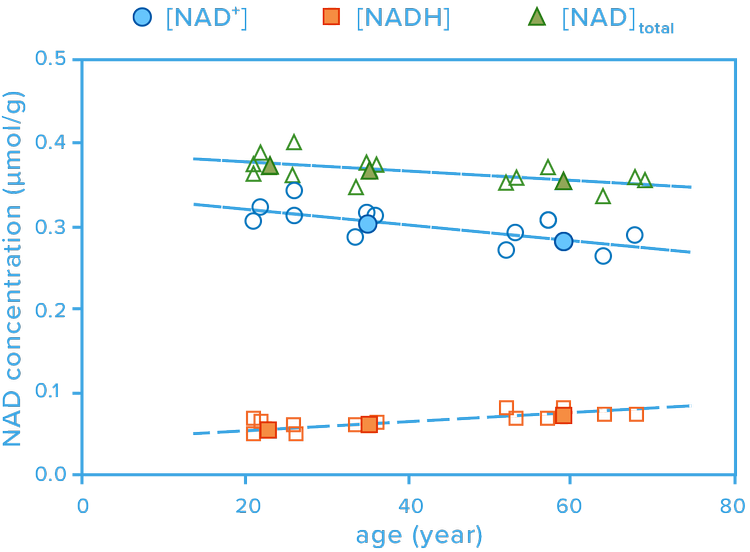 NAD+ IV Therapy Los Angeles - Nourishing IV Treatment | Pause Studio ...
