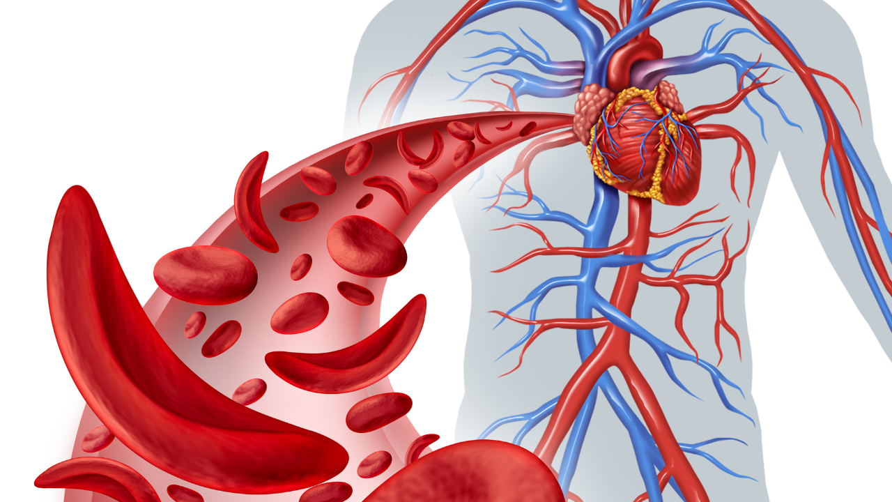 How Infrared Saunas Enhance Circulation: Benefits, Science, and Tips ...