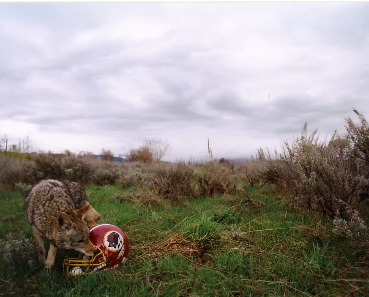 The People (2009) — Joshua Reiman