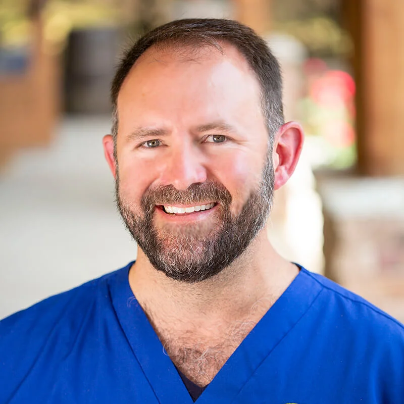 Dr. Damon Bond — Woodstock Dental Care